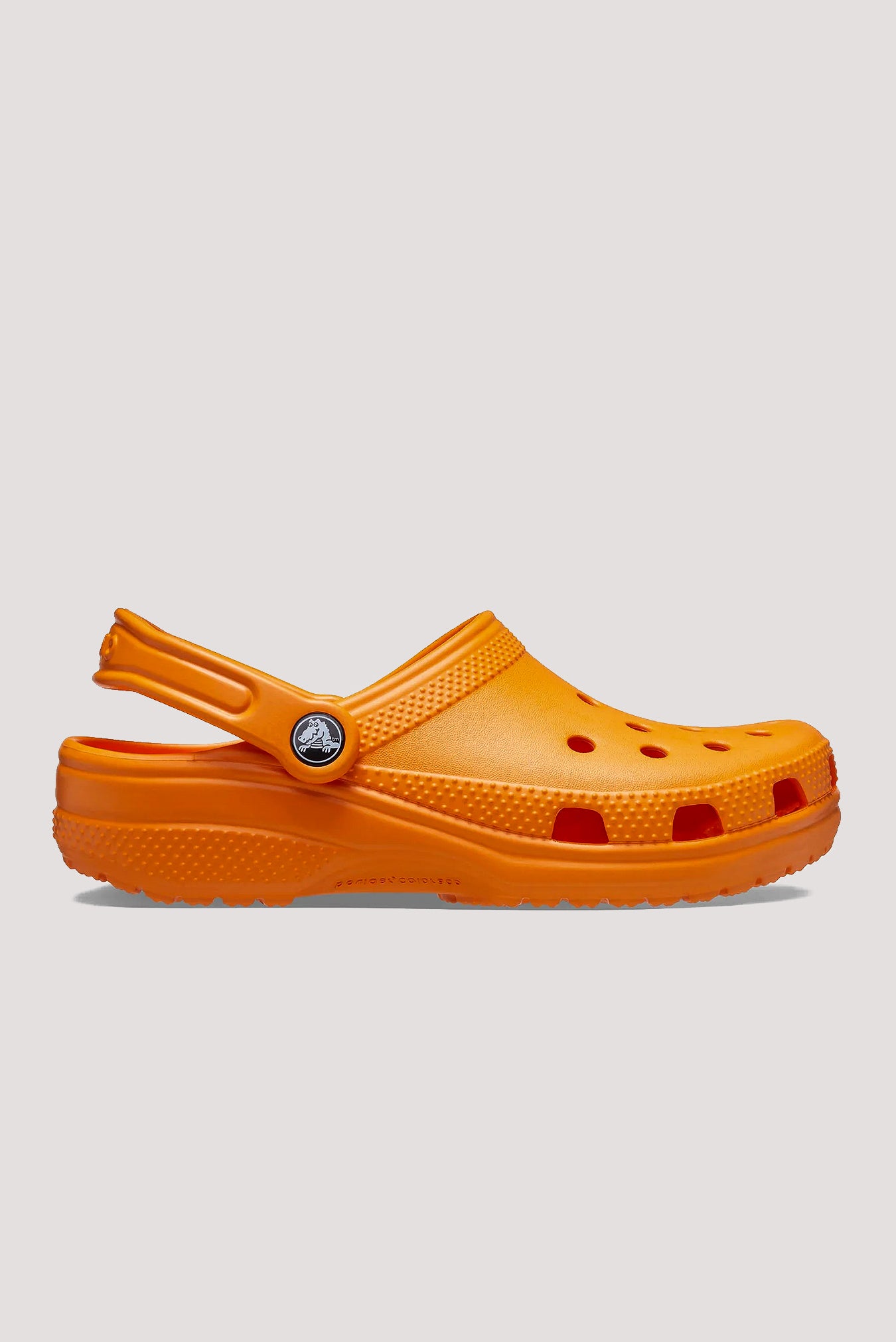 Classic Clog Shoes | North Beach