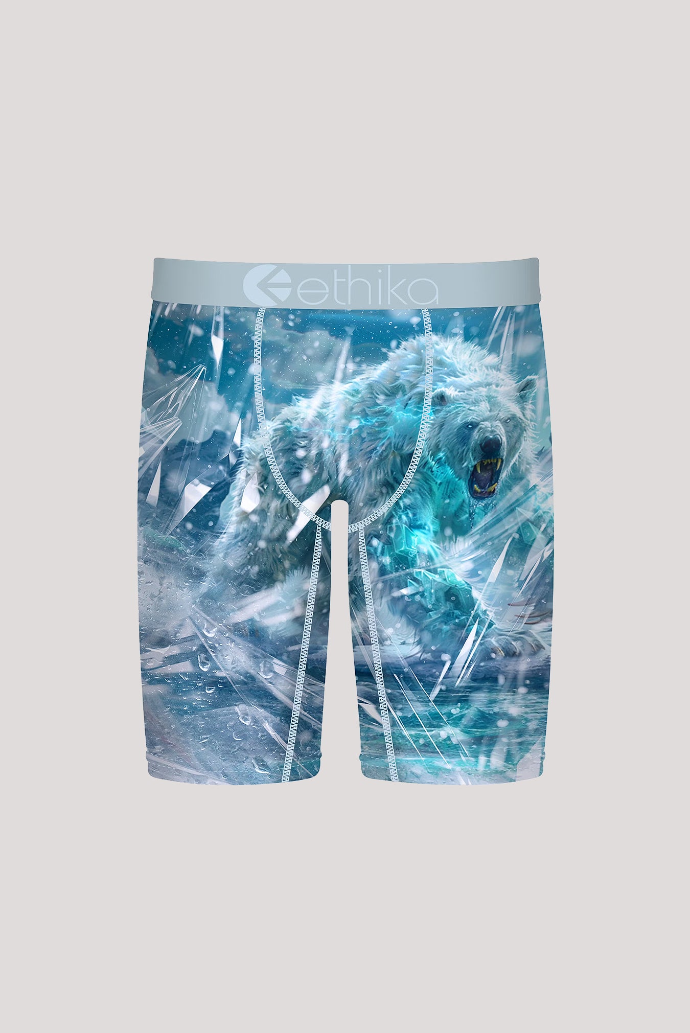 Youth Pola Roar Staple Underwear | North Beach
